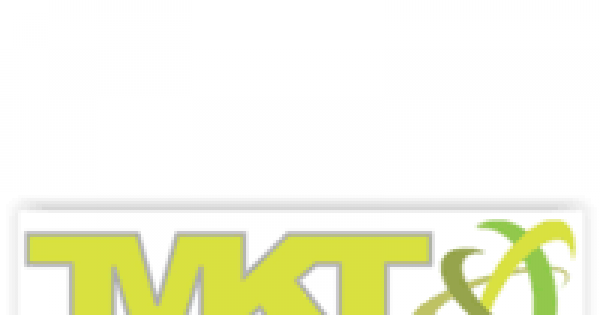 SUSPENSÃO DAS ATIVIDADES NA TMKT SERV MARKETING LTDA